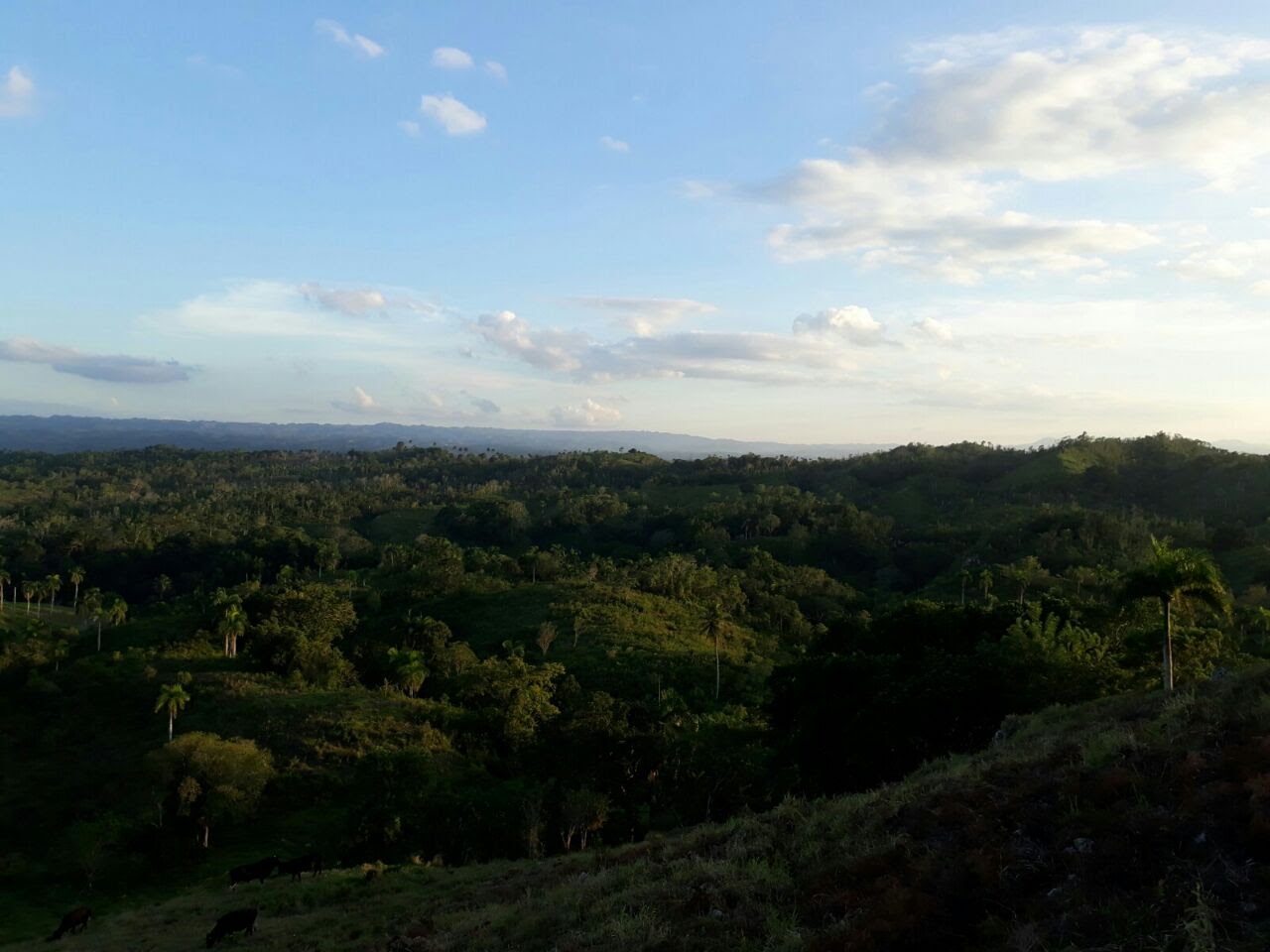 Former Citrics Farm | DRListings.com